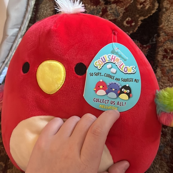 Squishmallows | Toys | 8 Paco The Parrot Squishmallow | Poshmark